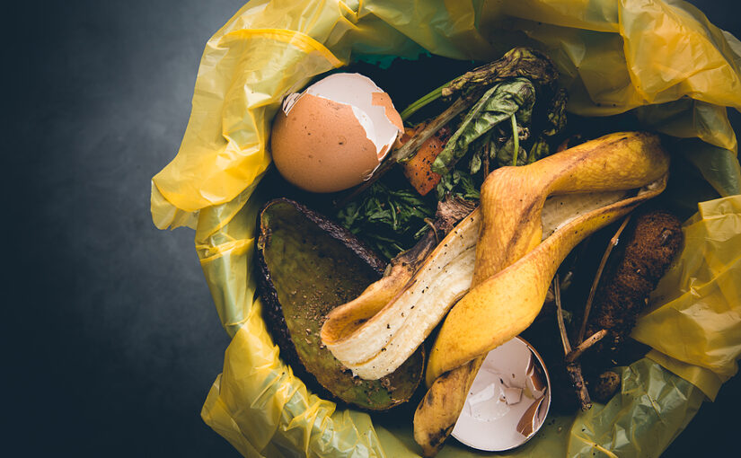 Food Waste Bin