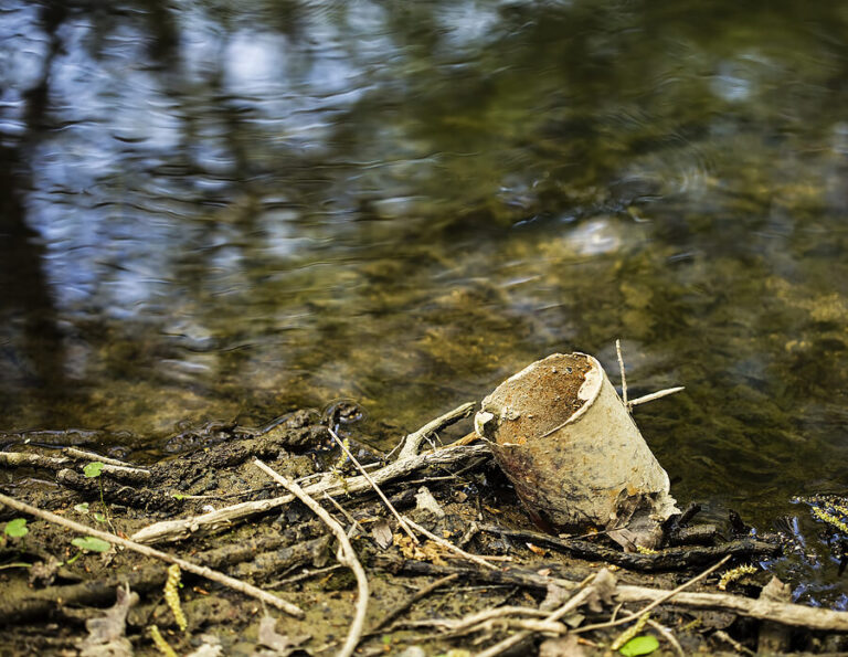 How long it takes everyday items to decompose – The Waste Management ...